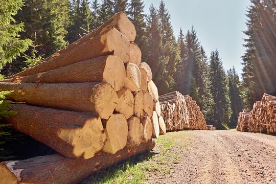 Bole Images – Browse 1,880,625 Stock Photos, Vectors, and Video | Adobe ...