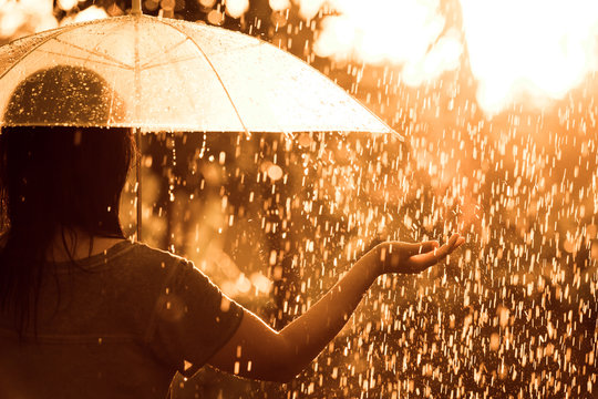 Free Rain Images – Browse 6,653 Free Stock Photos, Vectors, and Video ...