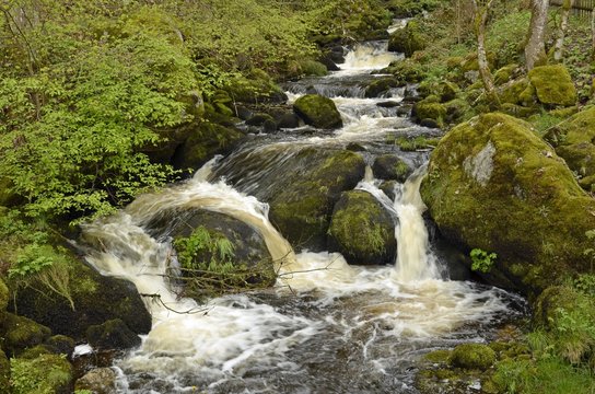 รูปภาพGutach – เลือกดูภาพถ่ายสต็อก เวกเตอร์ และวิดีโอ417 | Adobe Stock