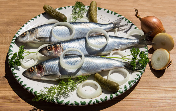 รูปภาพHeringe – เลือกดูภาพถ่ายสต็อก เวกเตอร์ และวิดีโอ1,364 | Adobe Stock