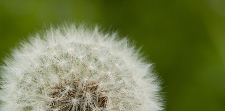 Fluey Bilder – Durchsuchen 667 Archivfotos, Vektorgrafiken und Videos ...