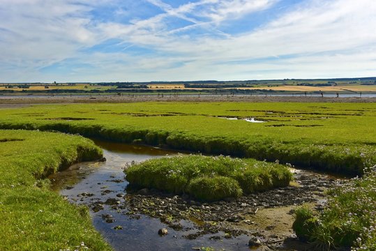 Alness Bilder – Durchsuchen 127 Archivfotos, Vektorgrafiken und Videos ...