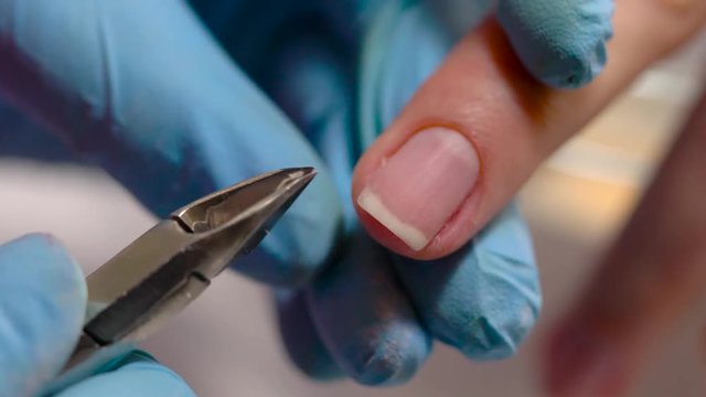 Shilak Bilder – Durchsuchen 36 Archivfotos, Vektorgrafiken und Videos ...