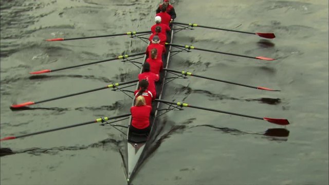 Ruderer Images – Browse 531 Stock Photos, Vectors, and Video | Adobe Stock