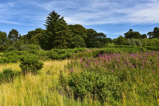 Alness Bilder – Durchsuchen 127 Archivfotos, Vektorgrafiken und Videos ...