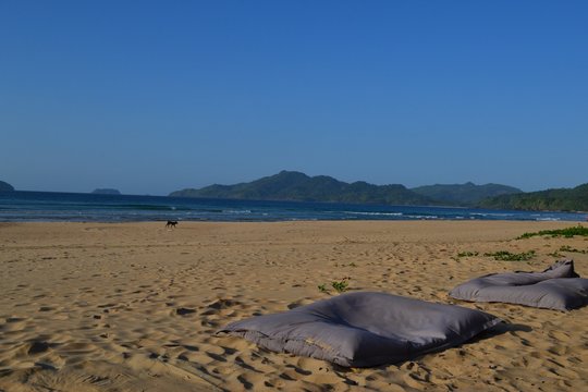 Duli Images – Browse 50 Stock Photos, Vectors, and Video | Adobe Stock