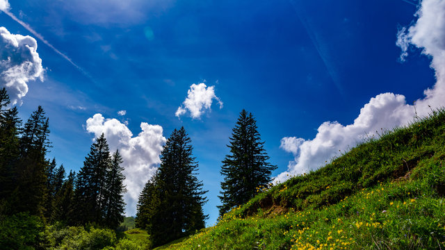 รูปภาพ"Helle – เลือกดูภาพถ่ายสต็อก เวกเตอร์ และวิดีโอ5,210 | Adobe Stock