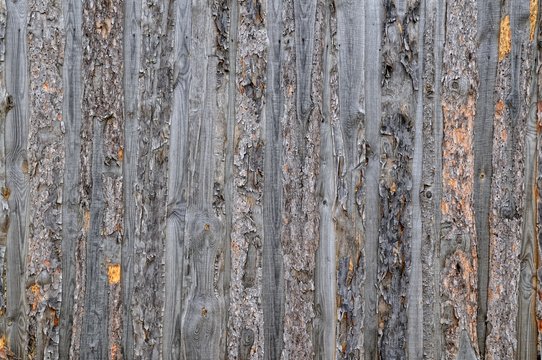 รูปภาพUnhewn – เลือกดูภาพถ่ายสต็อก เวกเตอร์ และวิดีโอ240 | Adobe Stock