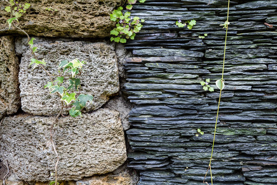 「Contravene」の写真素材 | 3,726件の無料イラスト画像 | Adobe Stock