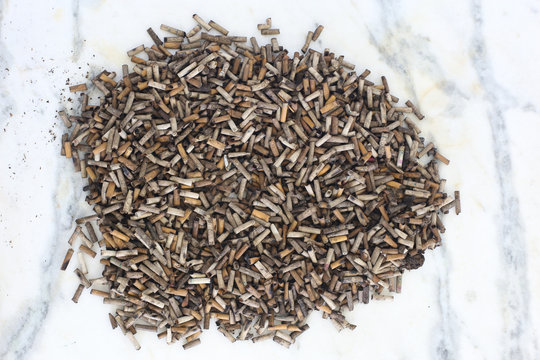 Butuca Images – Browse 16 Stock Photos, Vectors, and Video | Adobe Stock