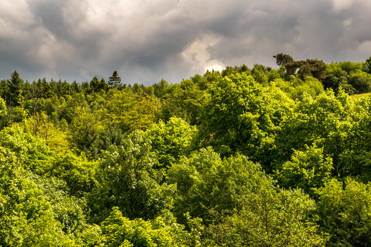 Treeline Images – Browse 28,562 Stock Photos, Vectors, and Video ...