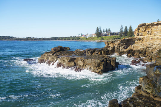 รูปภาพYamba – เลือกดูภาพถ่ายสต็อก เวกเตอร์ และวิดีโอ805 | Adobe Stock