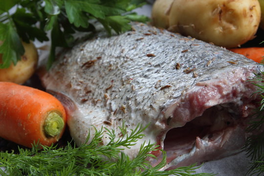 "Succulent Fish" Images – Browse 37 Stock Photos, Vectors, and Video ...