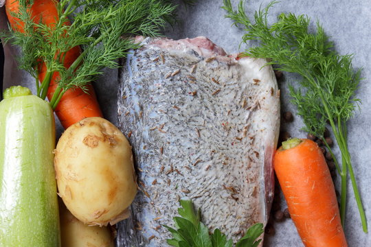 "Succulent Fish" Images – Browse 37 Stock Photos, Vectors, and Video ...