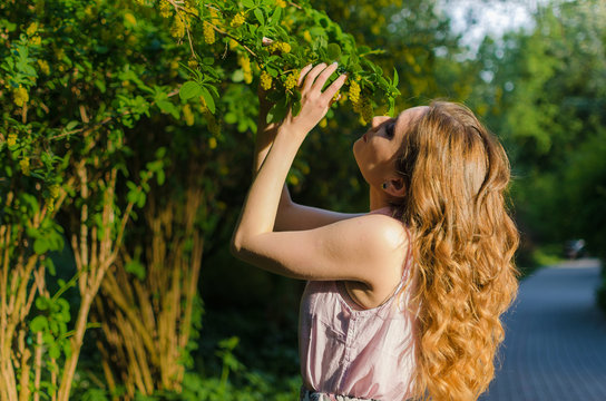 รูปภาพFation – เลือกดูภาพถ่ายสต็อก เวกเตอร์ และวิดีโอ752 | Adobe Stock