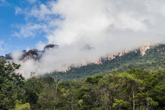 รูปภาพAuyantepui – เลือกดูภาพถ่ายสต็อก เวกเตอร์ และวิดีโอ310 | Adobe Stock