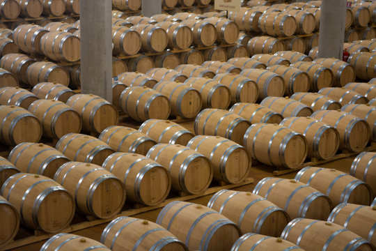 รูปภาพWintner – เลือกดูภาพถ่ายสต็อก เวกเตอร์ และวิดีโอ560 | Adobe Stock