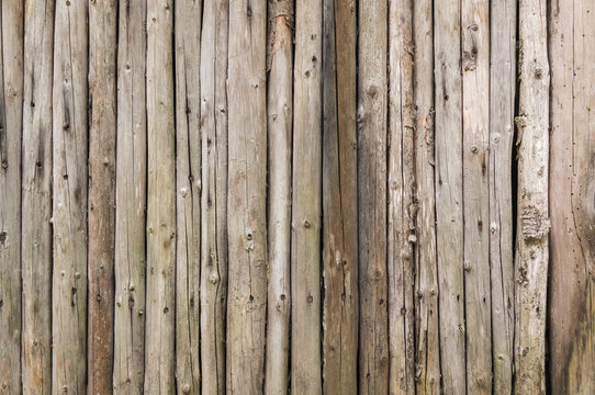 Sprute Images – Browse 16 Stock Photos, Vectors, and Video | Adobe Stock