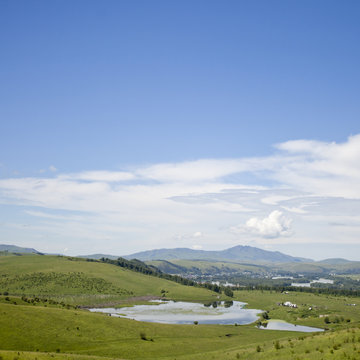 Puchin Images – Browse 13 Stock Photos, Vectors, and Video | Adobe Stock