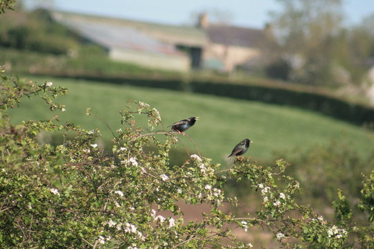 "Attention Seeking" Images – Browse 151 Stock Photos, Vectors, and ...