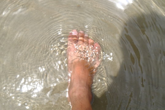 Footh Bilder – Durchsuchen 62 Archivfotos, Vektorgrafiken und Videos ...