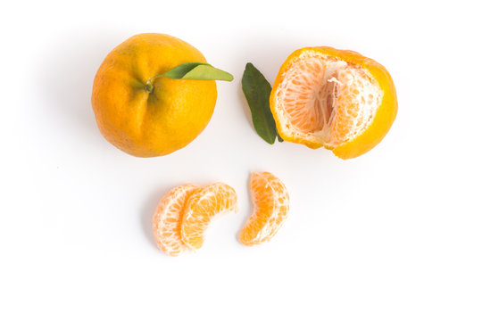 Pokan Images – Browse 42 Stock Photos, Vectors, and Video | Adobe Stock