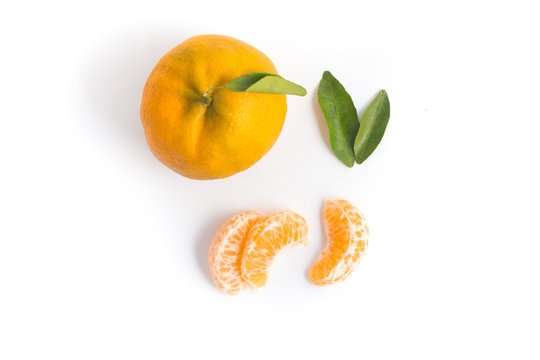 Pokan Images – Browse 42 Stock Photos, Vectors, and Video | Adobe Stock