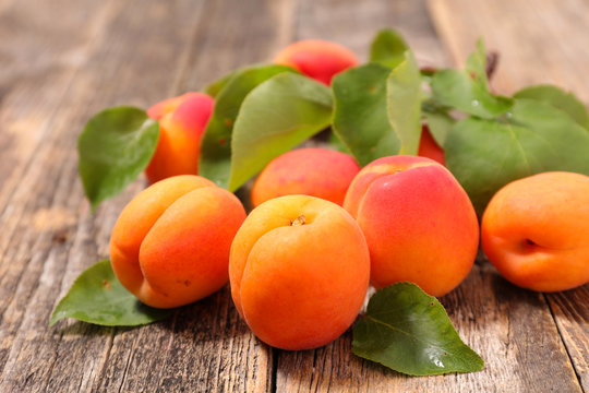 303,291 BESTE Marille BILDER, STOCK-FOTOS & -VEKTORGRAFIKEN | Adobe Stock