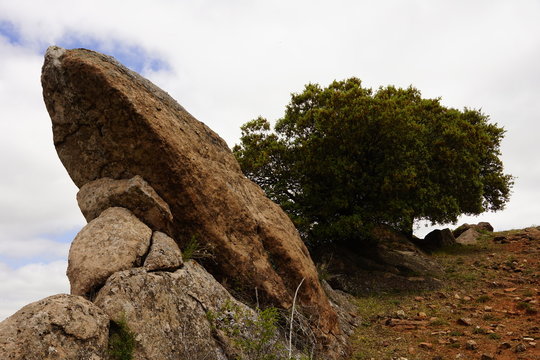 Inestable Images – Browse 66 Stock Photos, Vectors, and Video | Adobe Stock