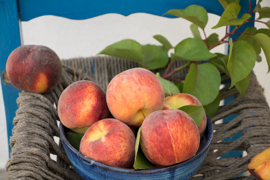 รูปภาพPersipan – เลือกดูภาพถ่ายสต็อก เวกเตอร์ และวิดีโอ144 | Adobe Stock