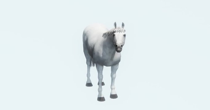 Obrázky Mare-Beast – procházejte fotografie, vektory a videa 78 | Adobe ...