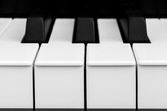 Octava Images – Browse 40 Stock Photos, Vectors, and Video | Adobe Stock