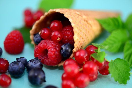Imagens de Wildbeeren – Explore Fotografias do Stock, Vetores e Vídeos ...