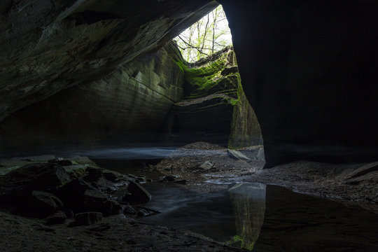 Imágenes de Primordiale: descubre bancos de fotos, ilustraciones ...
