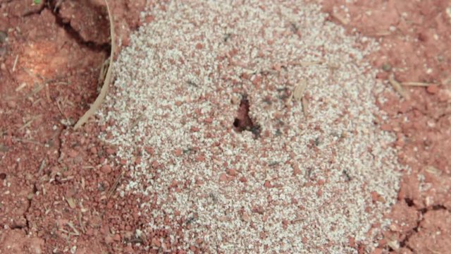 รูปภาพSoild – เลือกดูภาพถ่ายสต็อก เวกเตอร์ และวิดีโอ257 | Adobe Stock