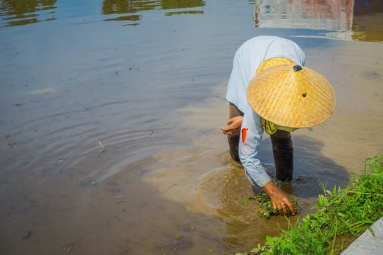 Govithana Images – Browse 47 Stock Photos, Vectors, and Video | Adobe Stock