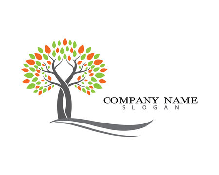 Infinity Tree Logo Images – Browse 9,623 Stock Photos, Vectors, and ...