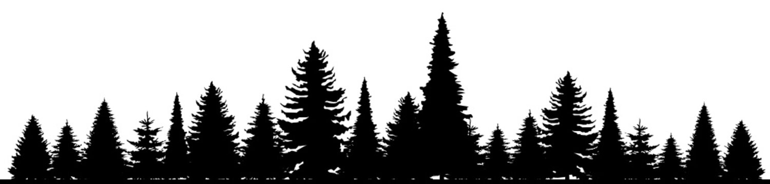 รูปภาพ"Tanne – เลือกดูภาพถ่ายสต็อก เวกเตอร์ และวิดีโอ101,592 | Adobe Stock