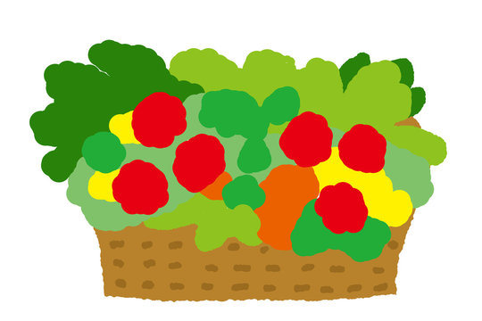 「Sarad」の写真素材 | 3件の無料イラスト画像 | Adobe Stock