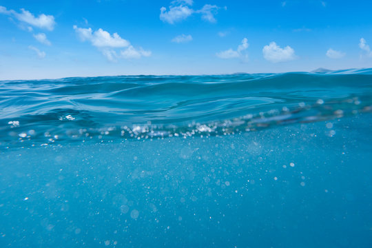 Free Ocean Images – Browse 28,075 Free Stock Photos, Vectors, and Video ...