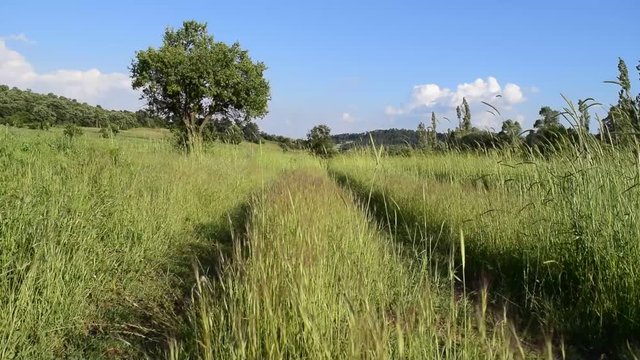 Patika Images – Browse 245 Stock Photos, Vectors, and Video | Adobe Stock