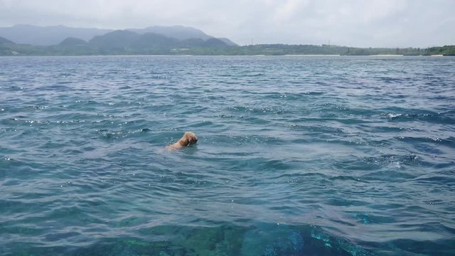 Bleeker Images – Browse 133 Stock Photos, Vectors, and Video | Adobe Stock