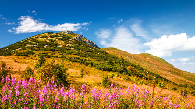 รูปภาพFatra – เลือกดูภาพถ่ายสต็อก เวกเตอร์ และวิดีโอ8,207 | Adobe Stock
