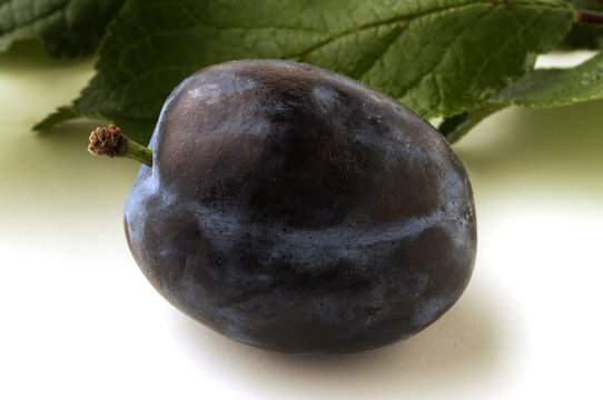 Pruim Images – Browse 29 Stock Photos, Vectors, and Video | Adobe Stock