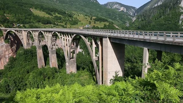 Obrazy ("Tara Bridge") — zdjęcia, wektory i wideo bez tantiem (188 ...