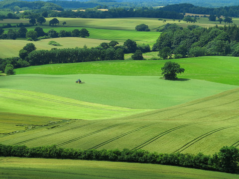 รูปภาพFelder – เลือกดูภาพถ่ายสต็อก เวกเตอร์ และวิดีโอ53,180 | Adobe Stock
