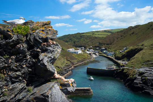 Boscastle Images – Browse 524 Stock Photos, Vectors, and Video | Adobe ...