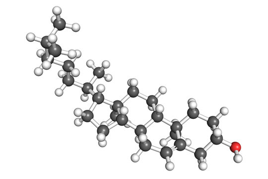 Cholesterol 3d Structure