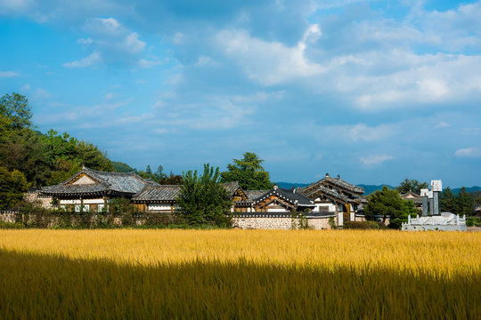 รูปภาพYecheon – เลือกดูภาพถ่ายสต็อก เวกเตอร์ และวิดีโอ80 | Adobe Stock