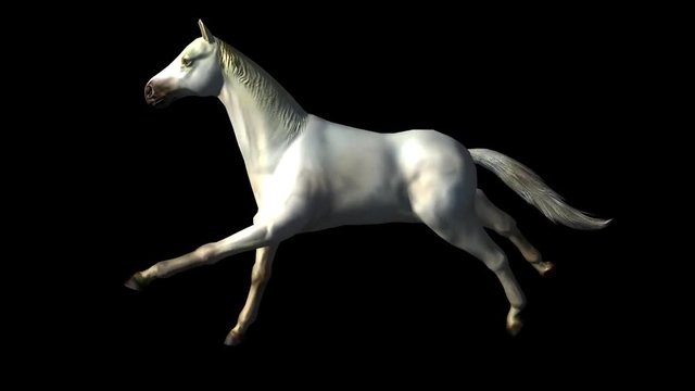 Obrázky Mare-Beast – procházejte fotografie, vektory a videa 78 | Adobe ...
